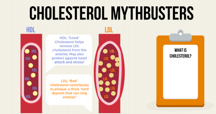 cholesterol mythbusters - The Independent Singapore News