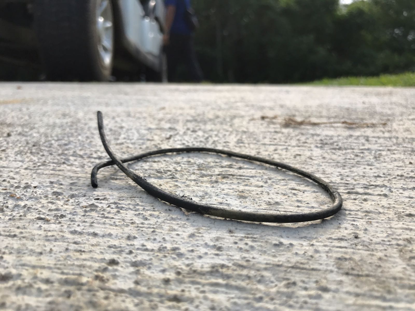 Injured otter pup successfully freed of wire and released back to ...