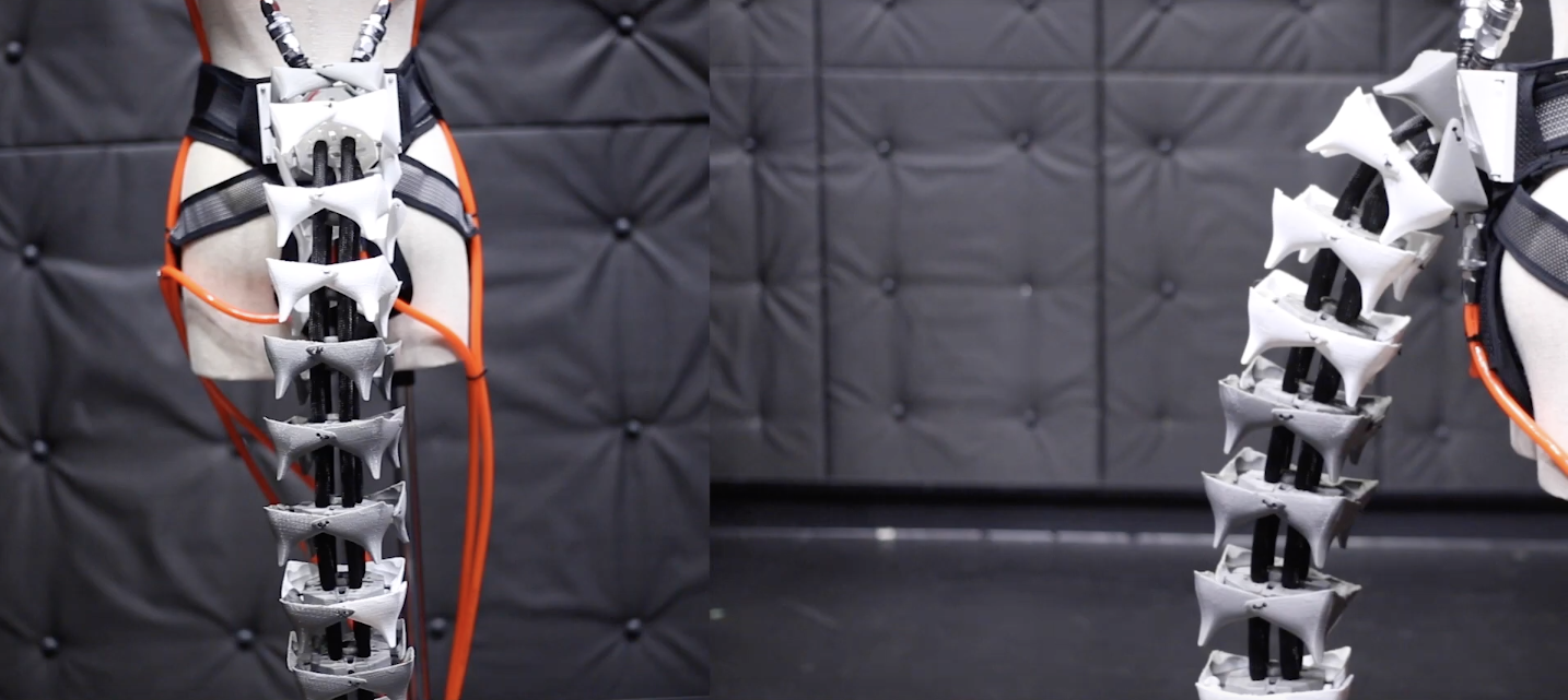 Japanese researchers build robotic tail to help ageing population - Asia