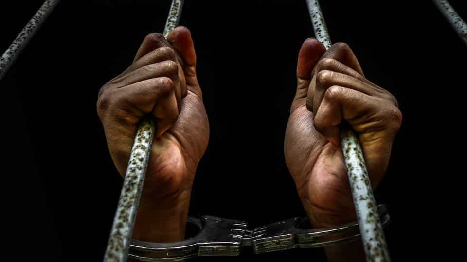 16-inmates-throw-chilli-powder-in-eyes-of-guards,-flee-from-rajasthan ...