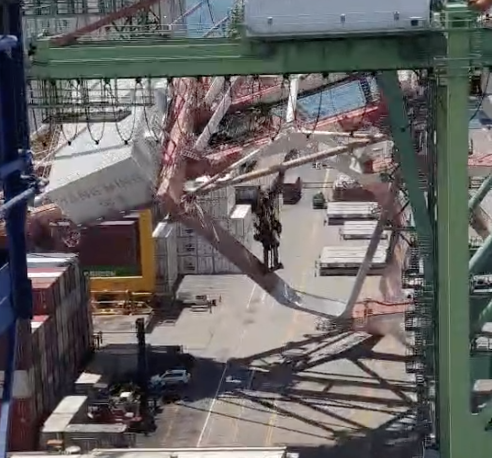 Viral video: Dock workers seen running for their lives as massive ...