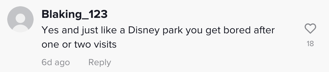 US traveller in TikTok video says ‘Singapore is the real-life Disney ...