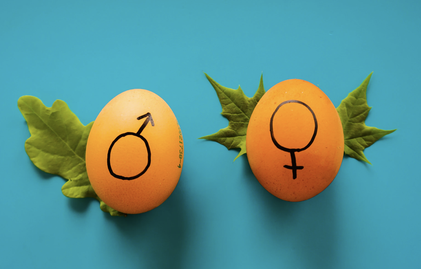conservatives-questioning-“wage-gap”-as-asian-women-make-more-than ...