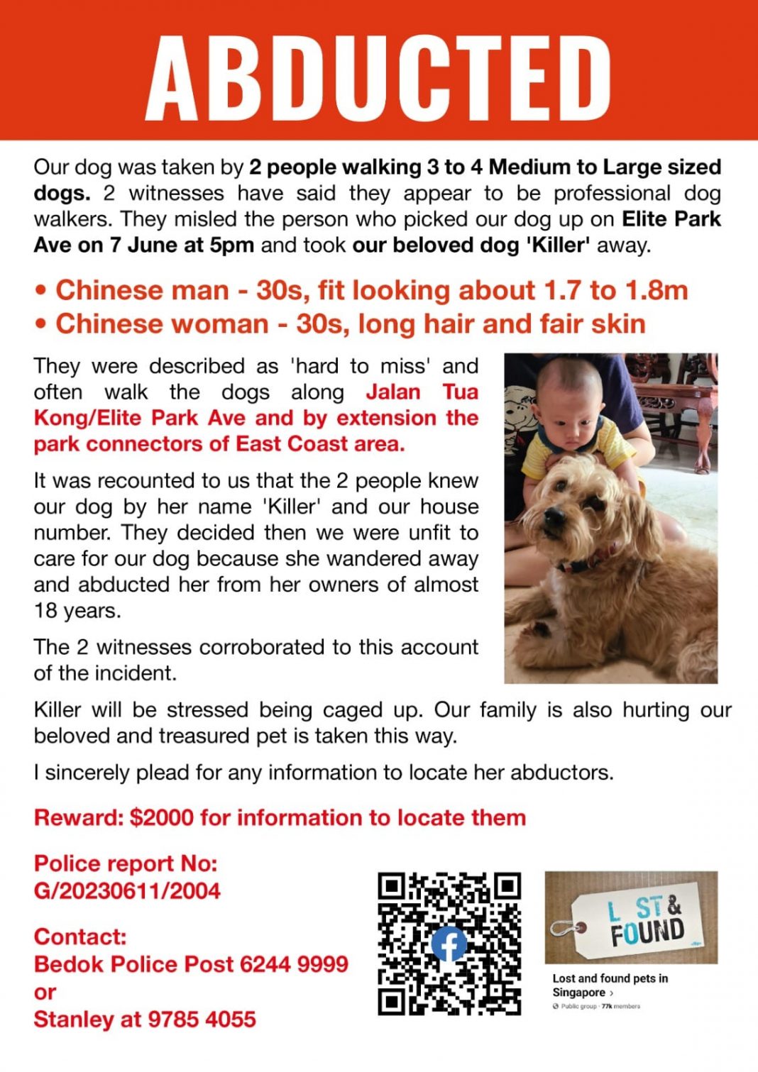 Dog missing: Reward $2000 for information, last seen being abducted in ...