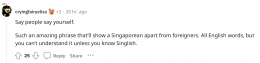 ‘Can or not? Can meh? Can lah!,’ What are the best Singlish phrases to ...