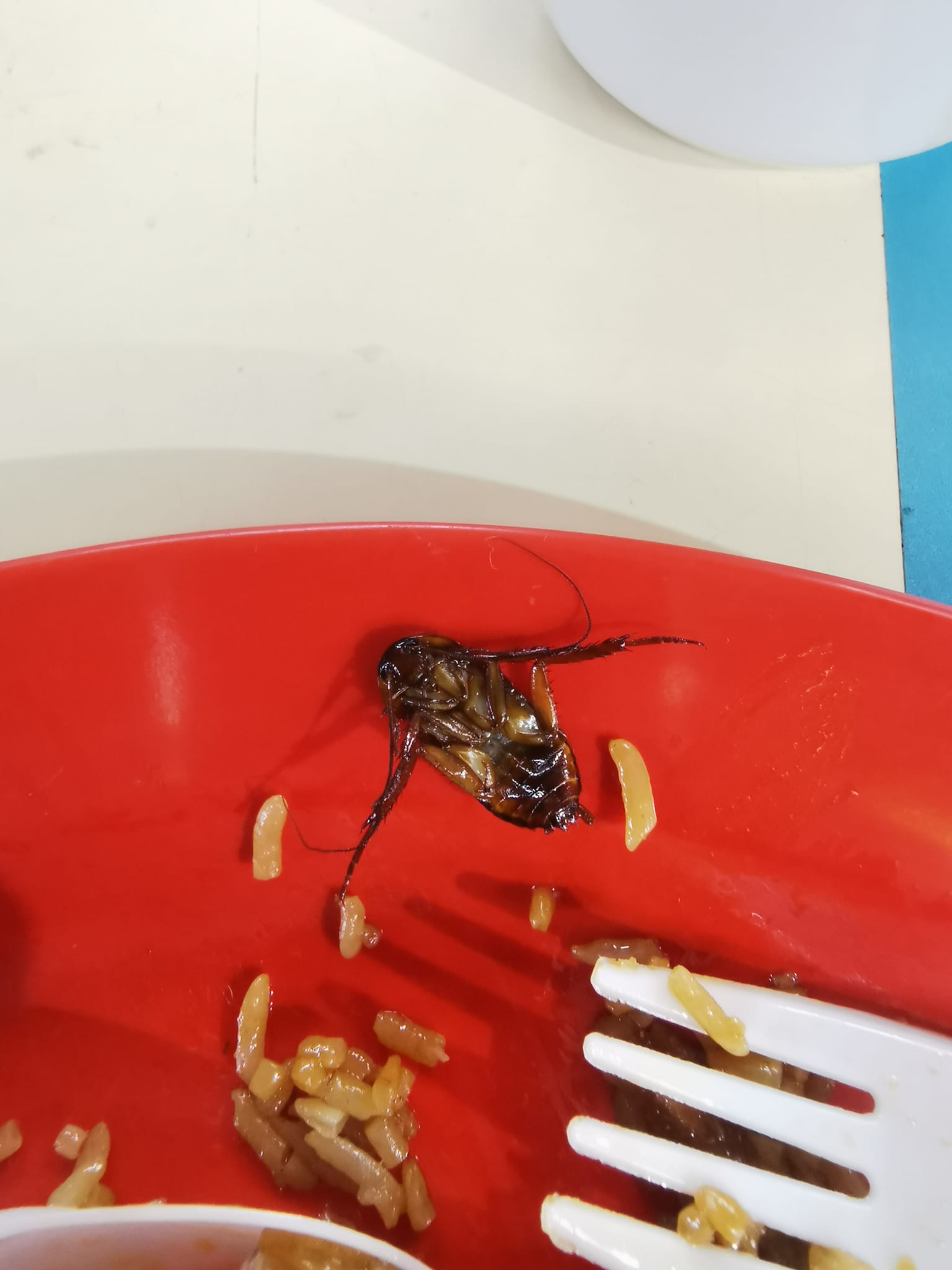 Woman shocked to see "cockroach on duck rice" at Bukit Timah Market ...