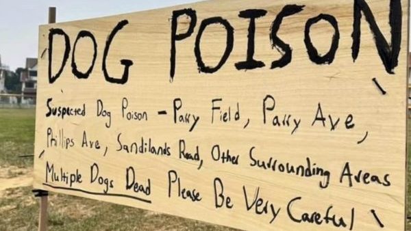 3 dogs died after being in poisoned field on Parry Avenue - Singapore News