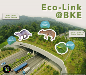 The brilliance of Eco-Link @ BKE - Featured News
