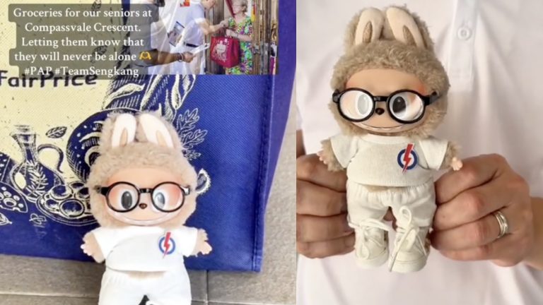 Labubu doll is the newest and cutest 'volunteer' at Sengkang that got ...