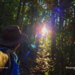 Gunung Pulai, Kulai hiking trail - The Independent Singapore News