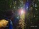 Gunung Pulai: Singaporeans, here's your guide to the best hiking trail ...