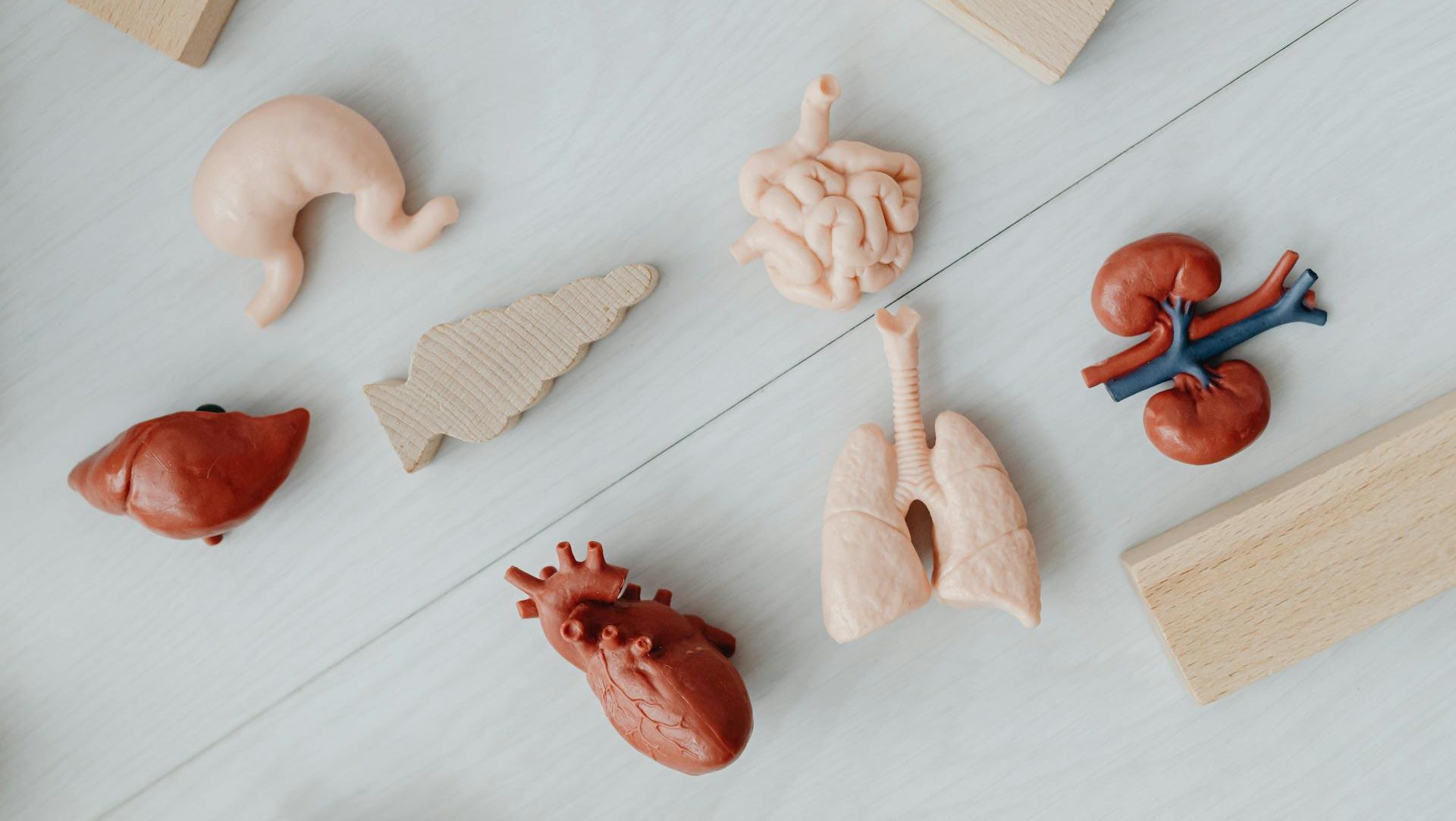Anatomy of Belonging: A Russian girl’s journey to redefine home in ...