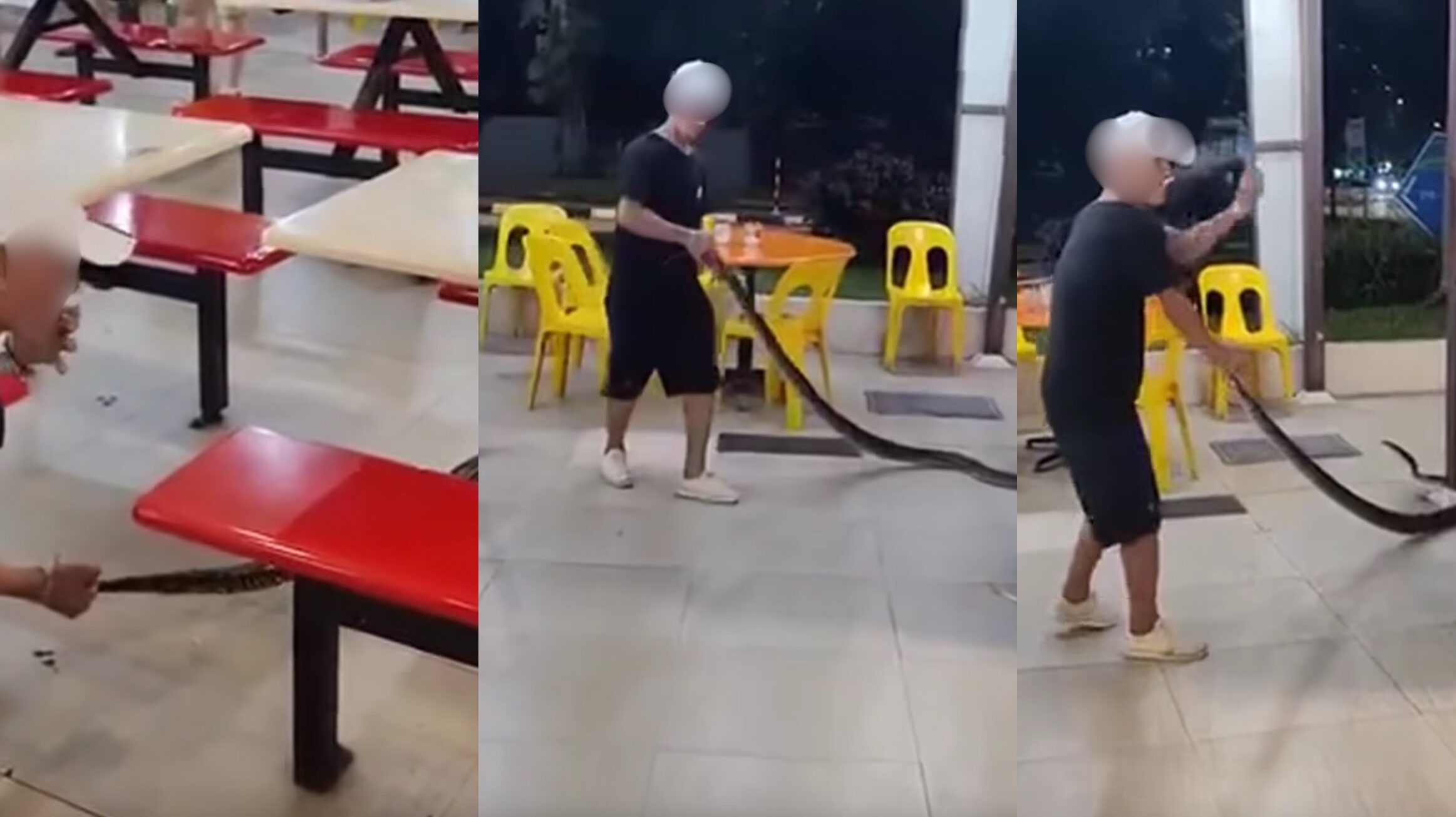 ‘Zai uncle’ captures snake spotted near Marsiling coffeeshop, no ...