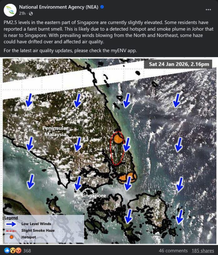 NEA: Burnt smell drifts across Singapore’s East as Johor forest fire ...